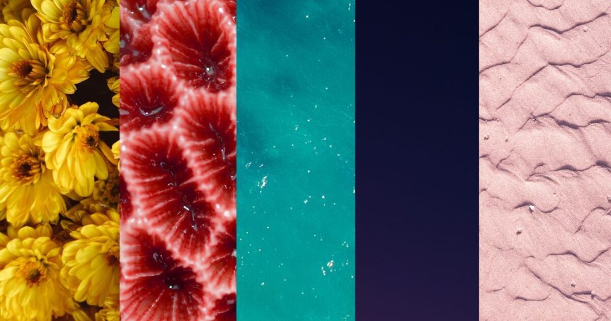 SS25 Trend Color Forecast | Fashion Club 70